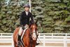 Blackstone Stables