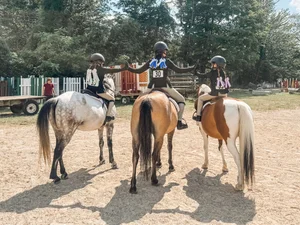 Blackstone Stables