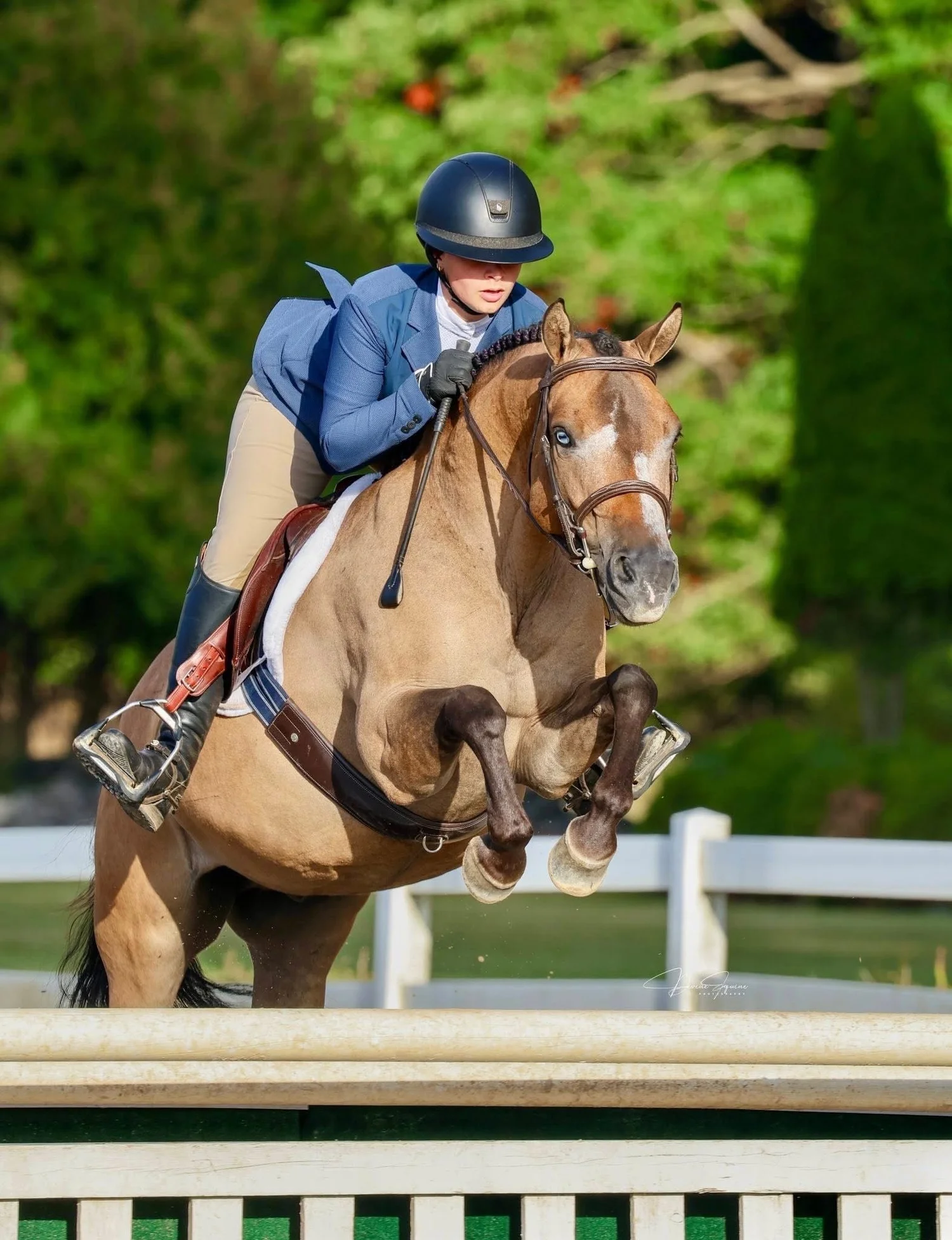 Blackstone Stables