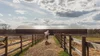 Blackstone Stables