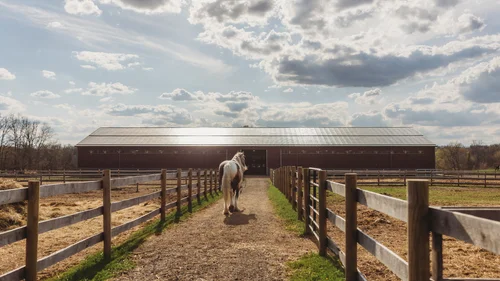 Blackstone Stables