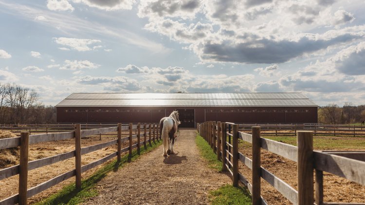 Blackstone Stables
