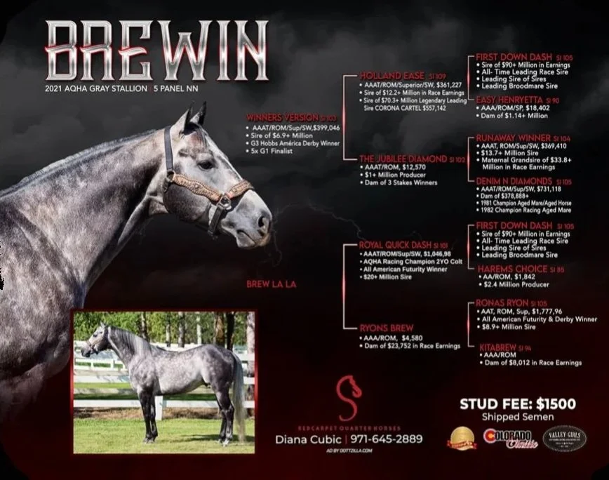 BRN4D Incentive Fund