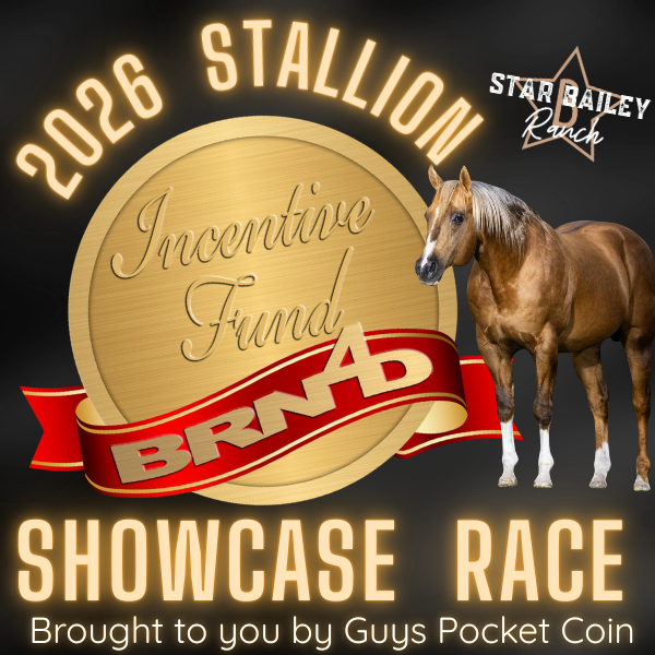 BRN4D Incentive Fund