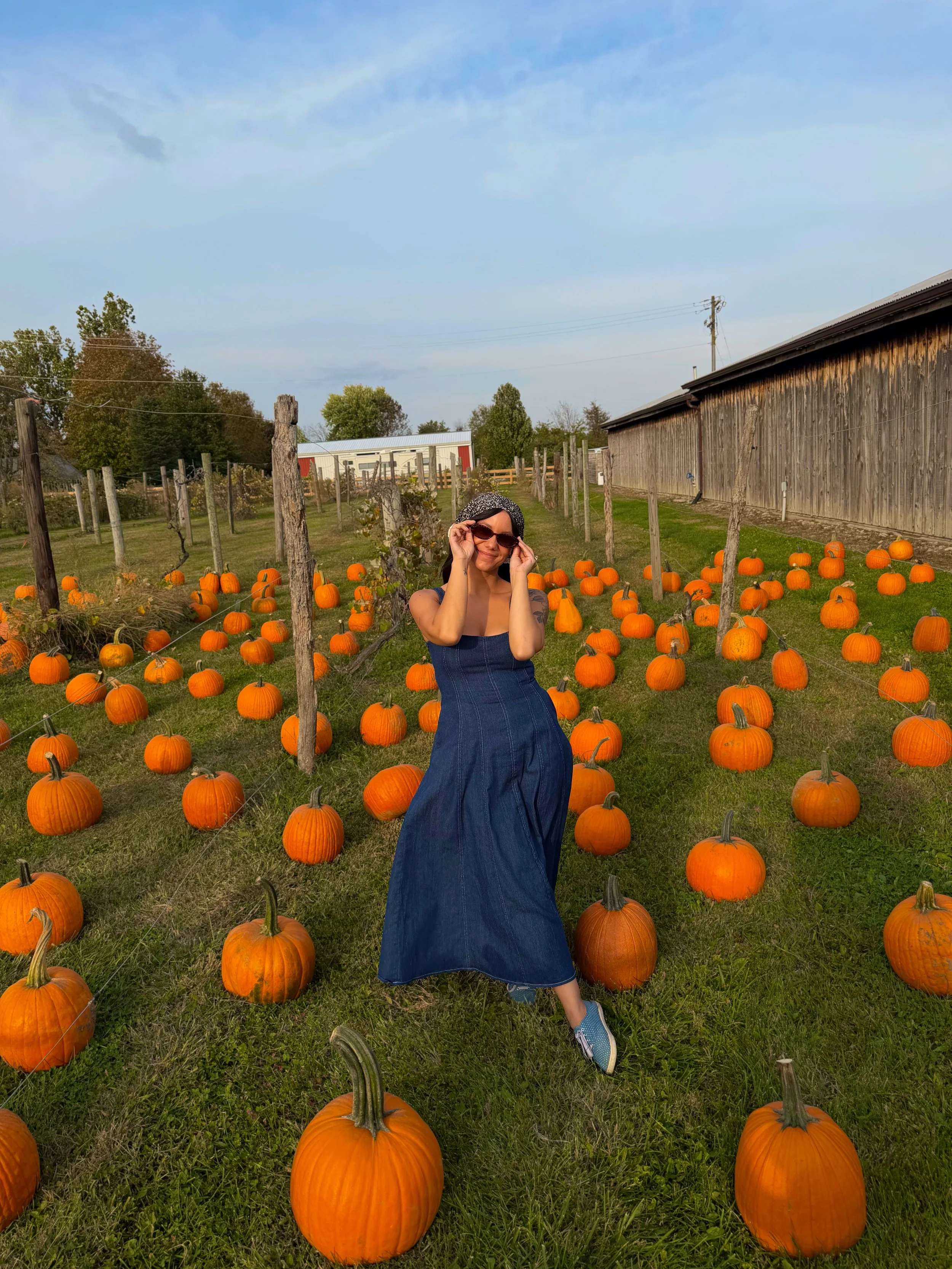 Hidden Valley Orchards U Pick Pumpkins, Fall Patch Fun