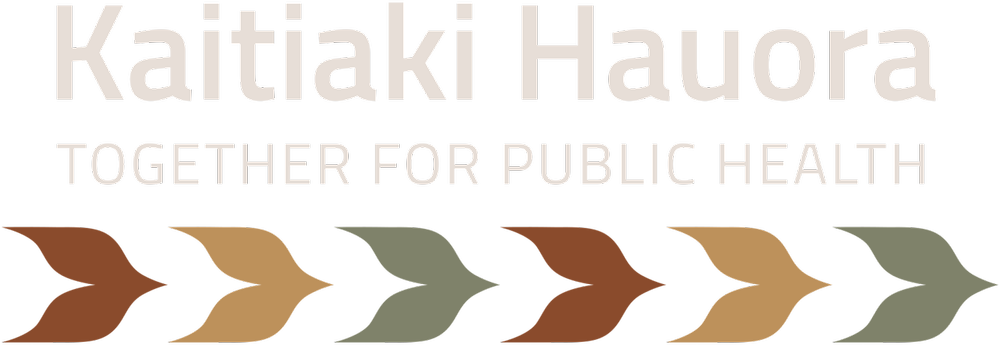 Disability Support Services Bill - our submission. — Kaitiaki Hauora ...