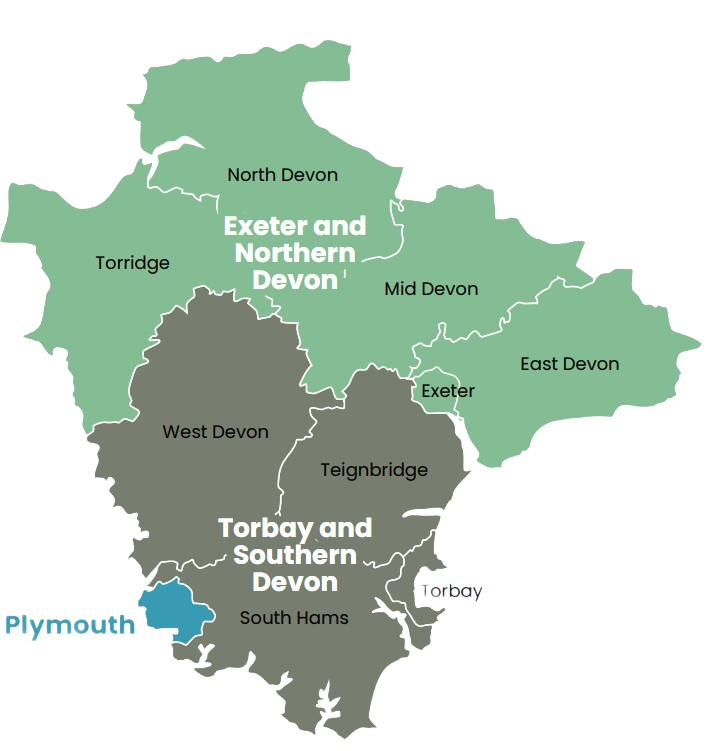 District Councils — Devon LGR