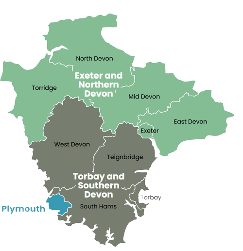 District Councils — Devon LGR