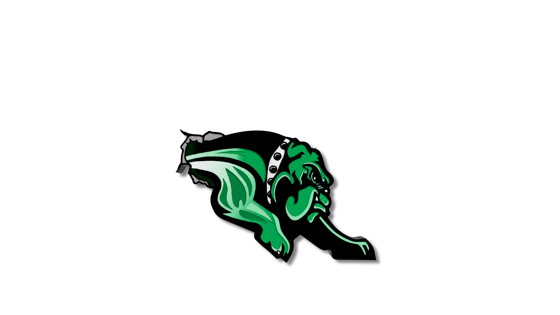Burnet CISD Bond Website