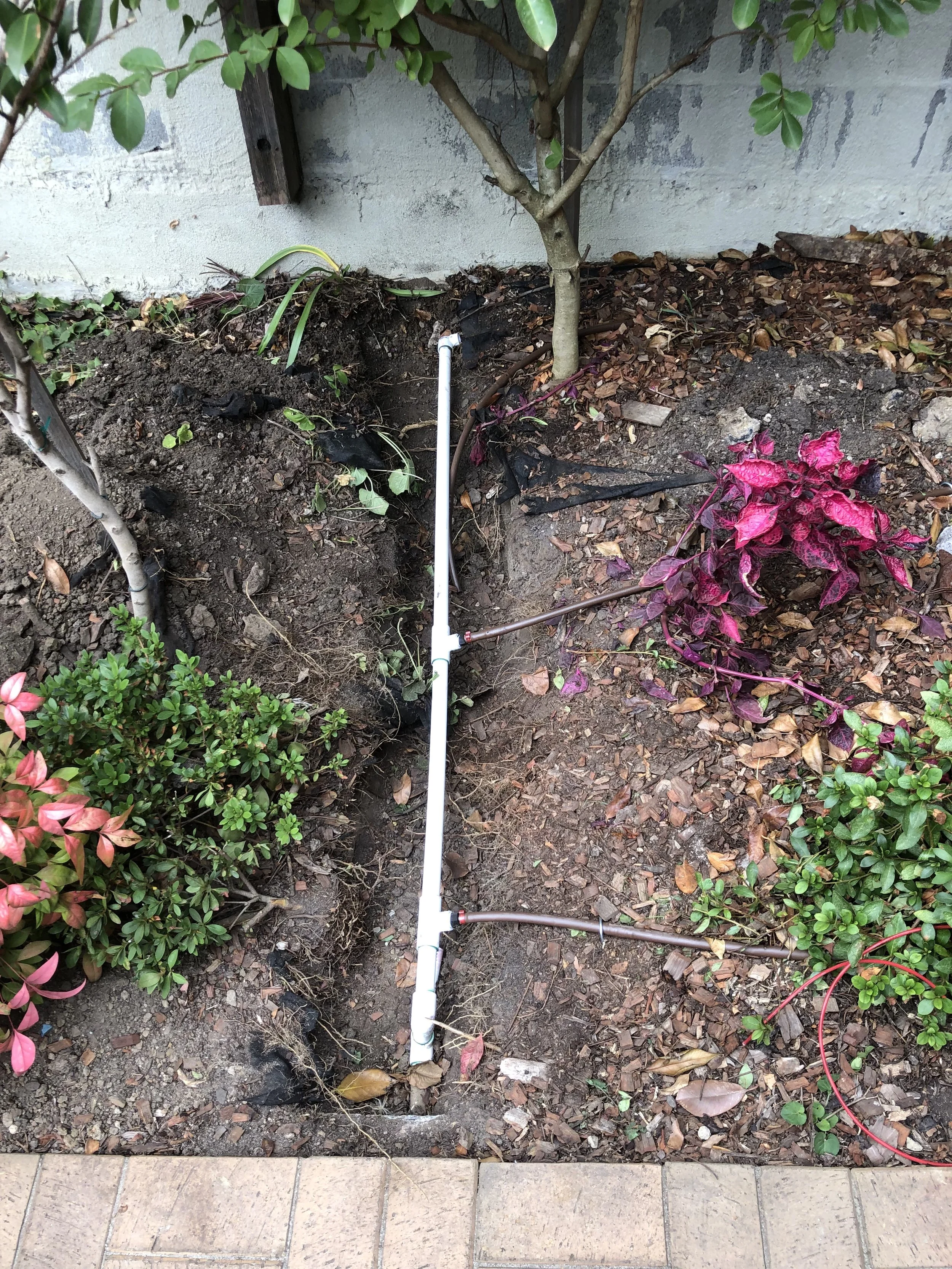 Gallery 1 — Groundline Irrigation