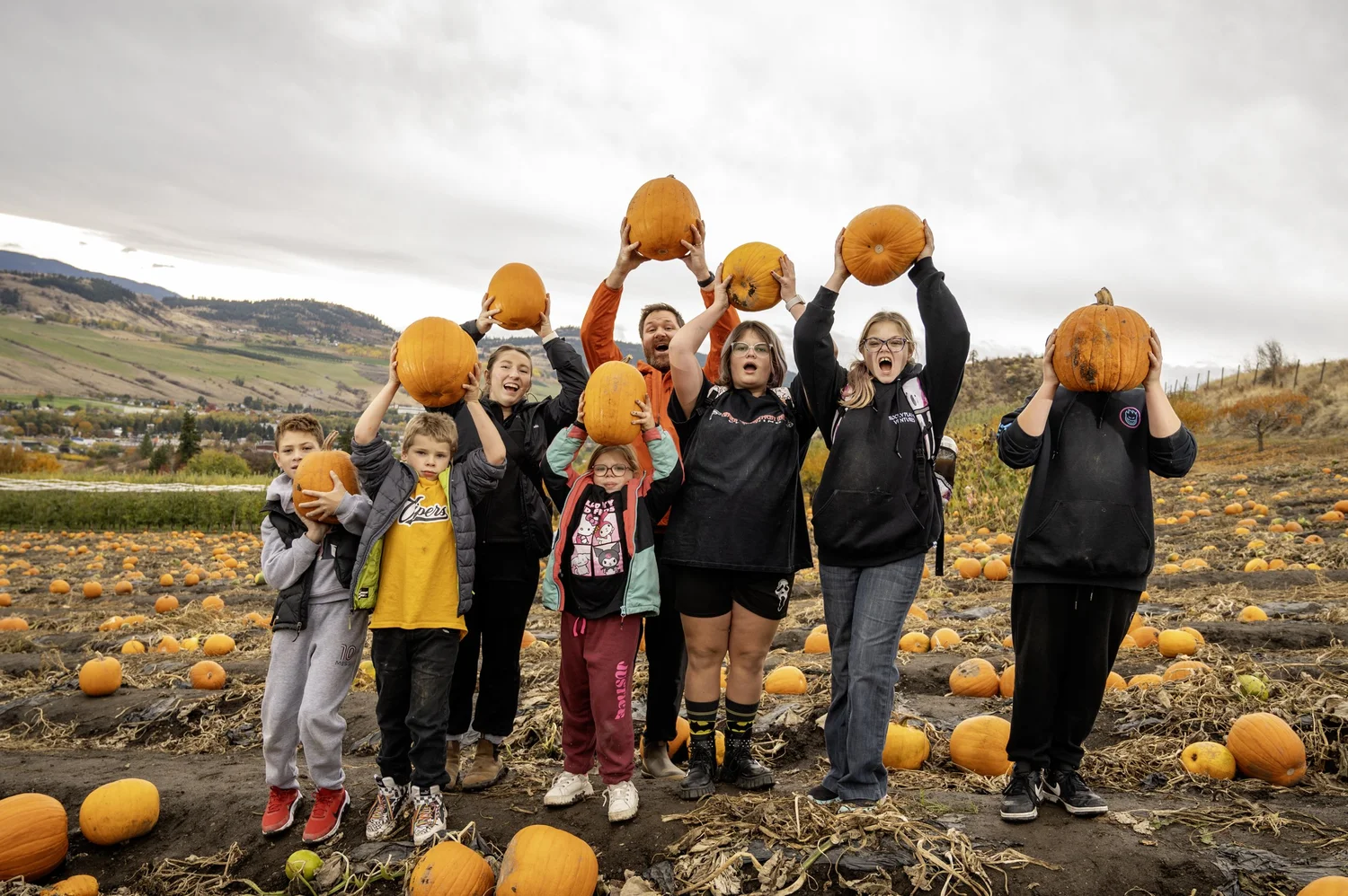 Davison Orchards