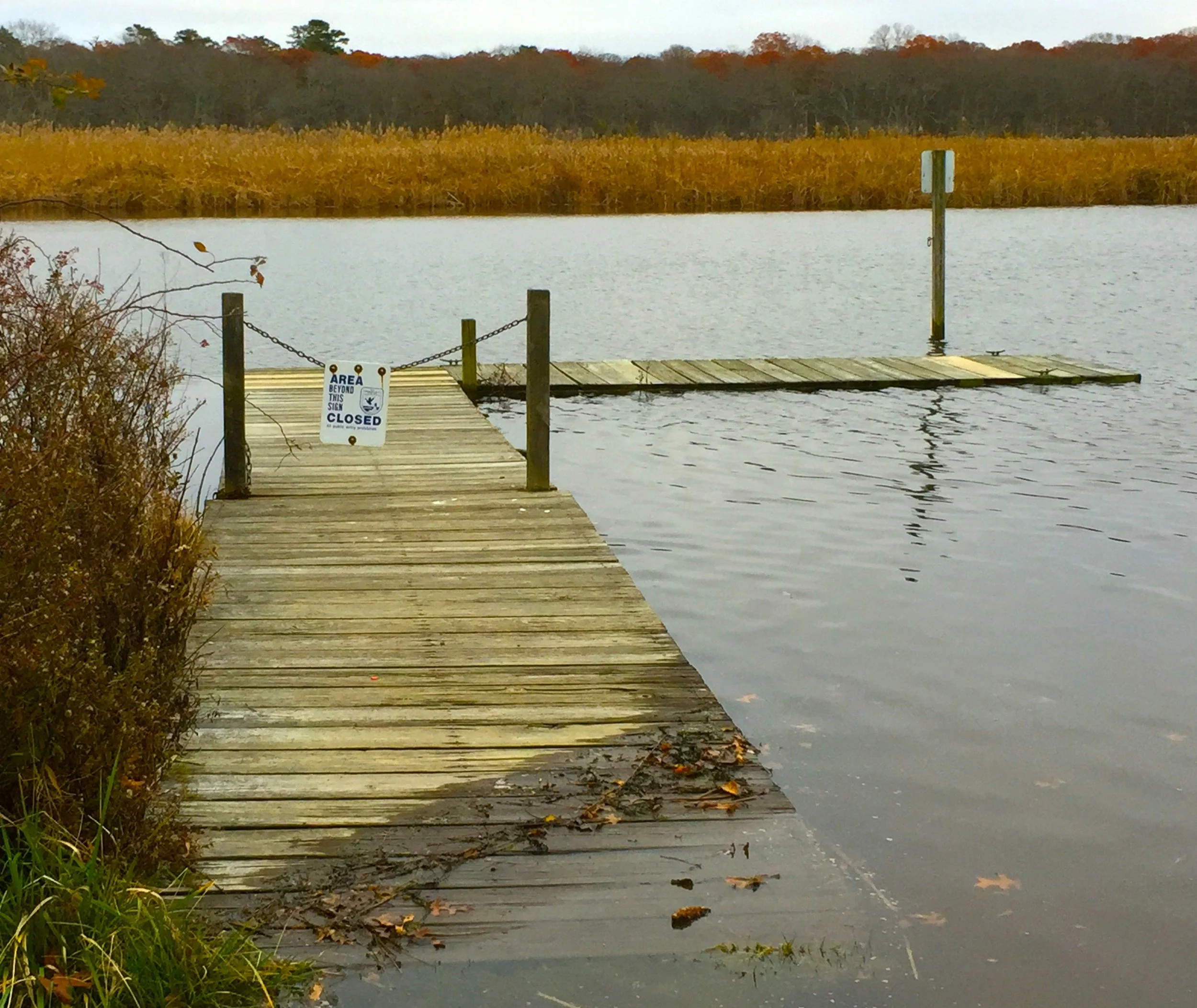 AquaMetrics | Optimize Operations Today
