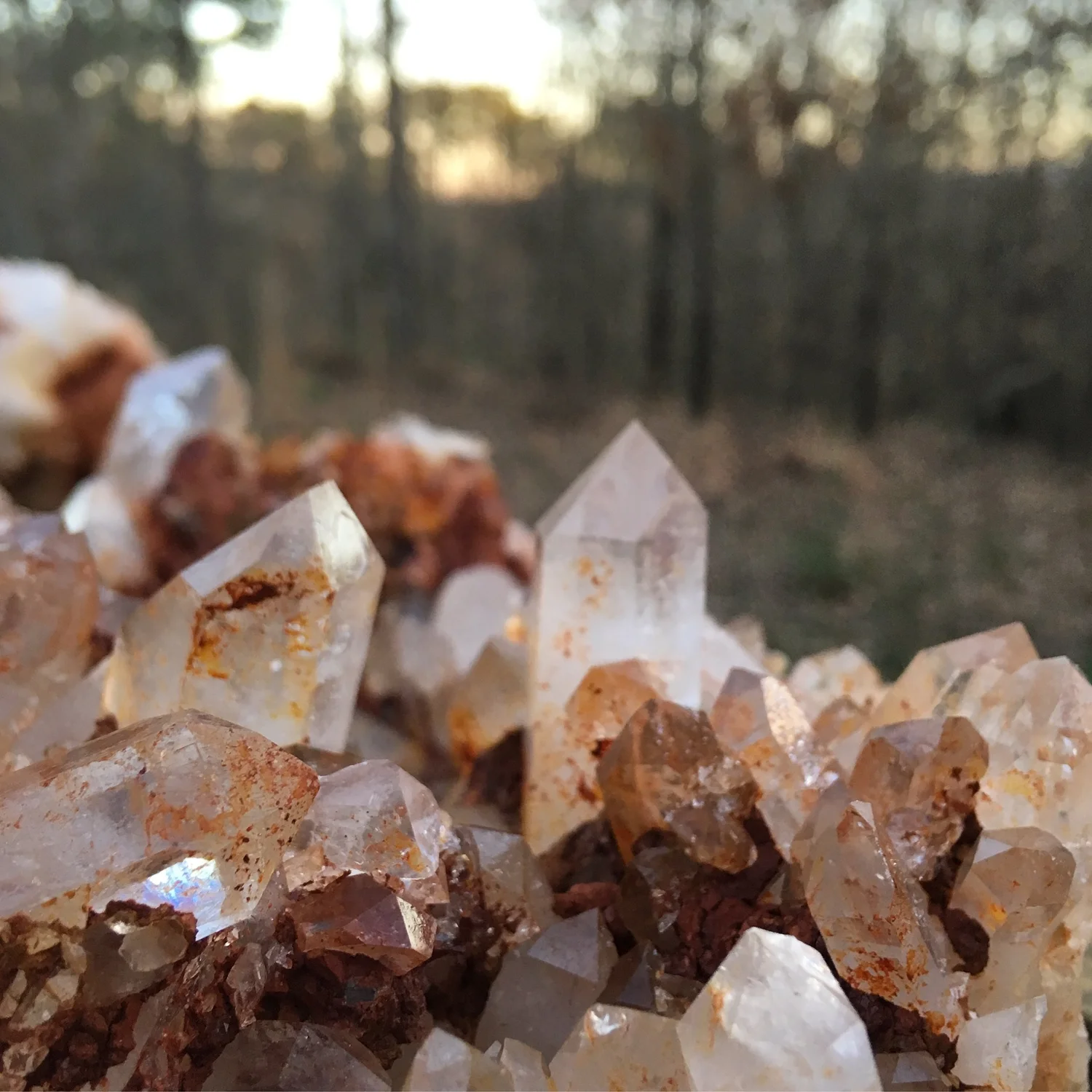 Wegner Crystal Mines — CRYSTALS OF ARKANSAS - Crystal Digging in Arkansas