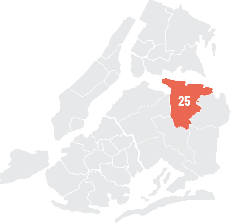 One Vision, Many Voices | NYC Public Schools District 25 — All Systems Go