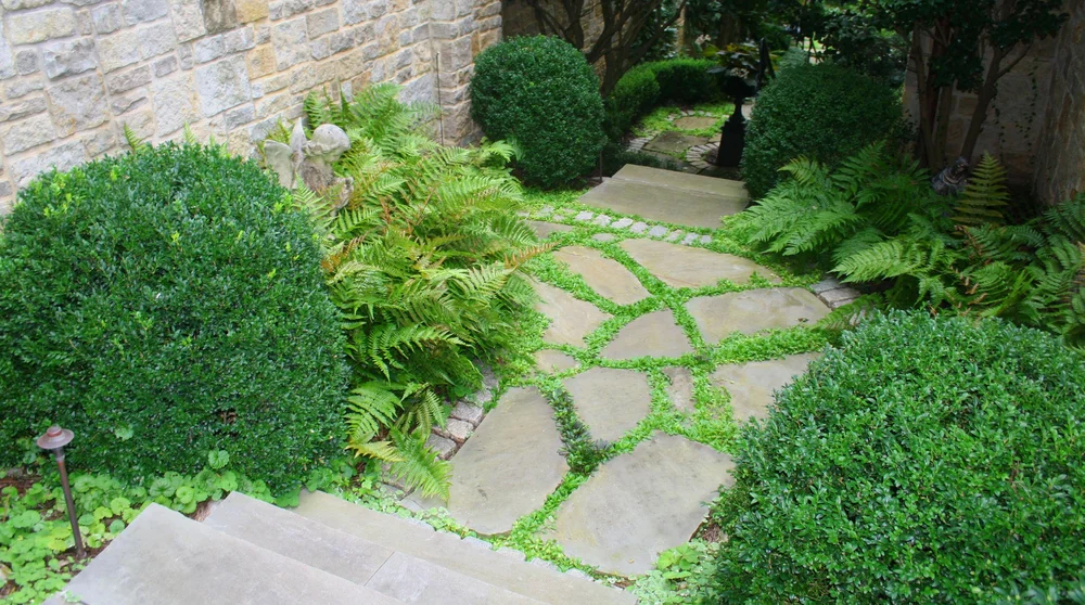 Green City Design | Transform Your Outdoors Today