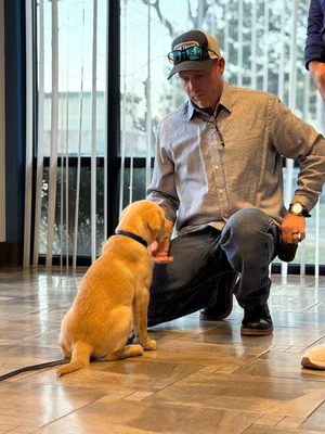 Volunteer – Puppy Raising — Liberty Dogs