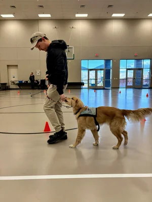 Volunteer – Puppy Raising — Liberty Dogs