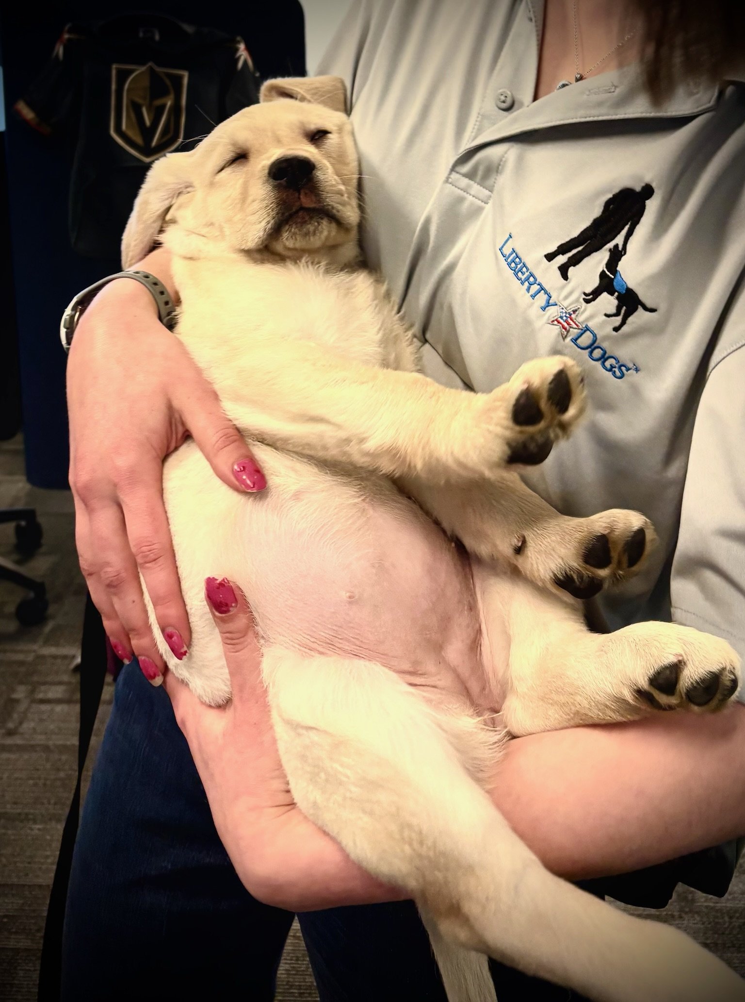 Volunteer – Puppy Raising — Liberty Dogs