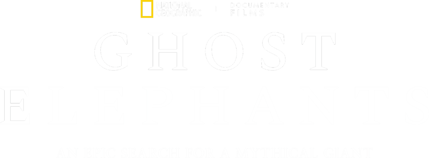 Ghost Elephants | An Epic Search for a Mythical Giant