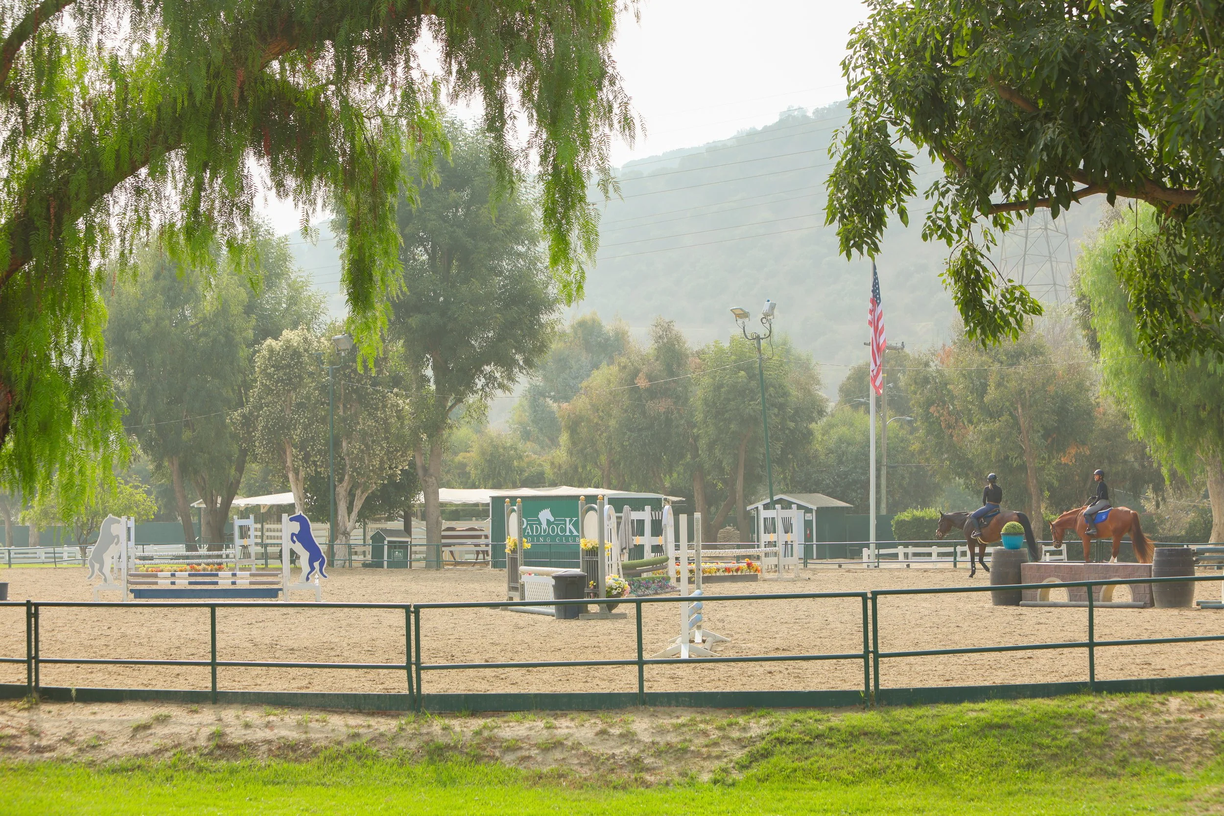 THE PADDOCK RIDING CLUB | Discover Equestrian Excellence – Join Us Today