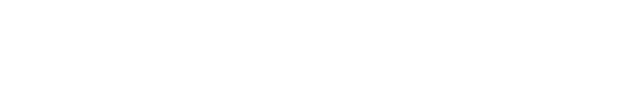 Elastix AI