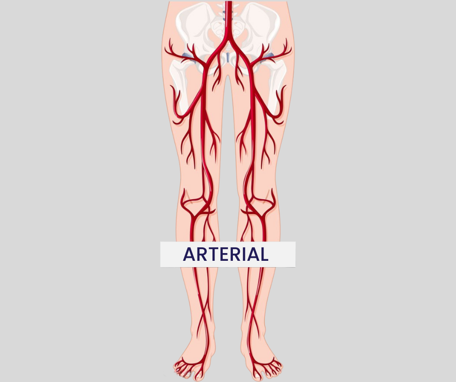 Texas Cardiac & Vascular Institute | Outpatient Vascular Specialists in ...