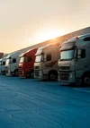 MG Transport Solutions