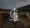 About | Learn More About Us - Connect Today — Country Lane Styles