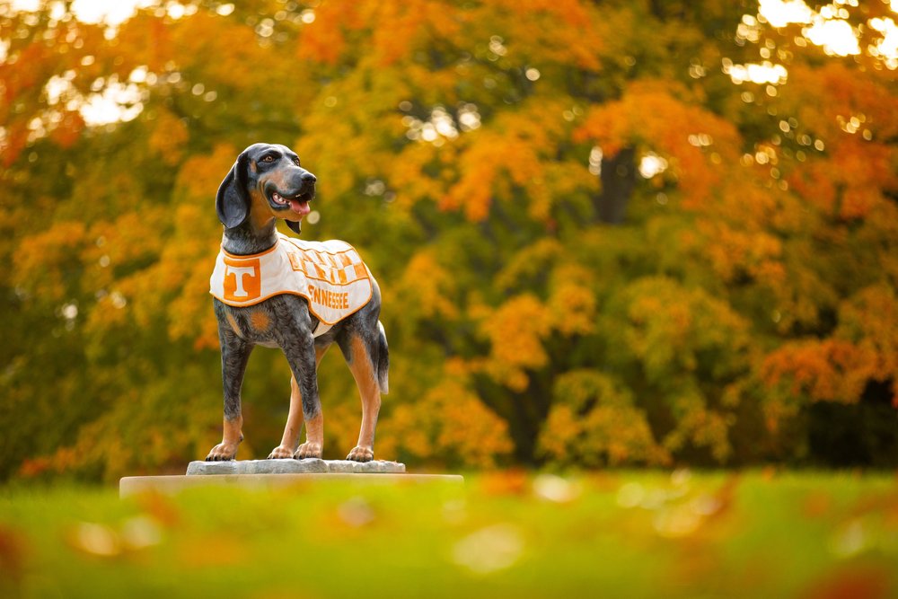 UTK IFC | Join UTK Fraternity Community Today
