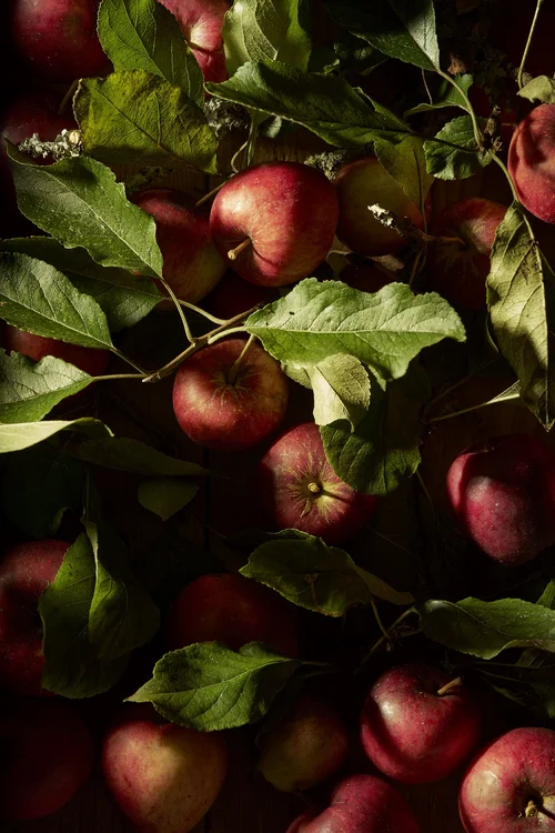 Kate Whitaker Photography | Food | Interiors | Lifestyle