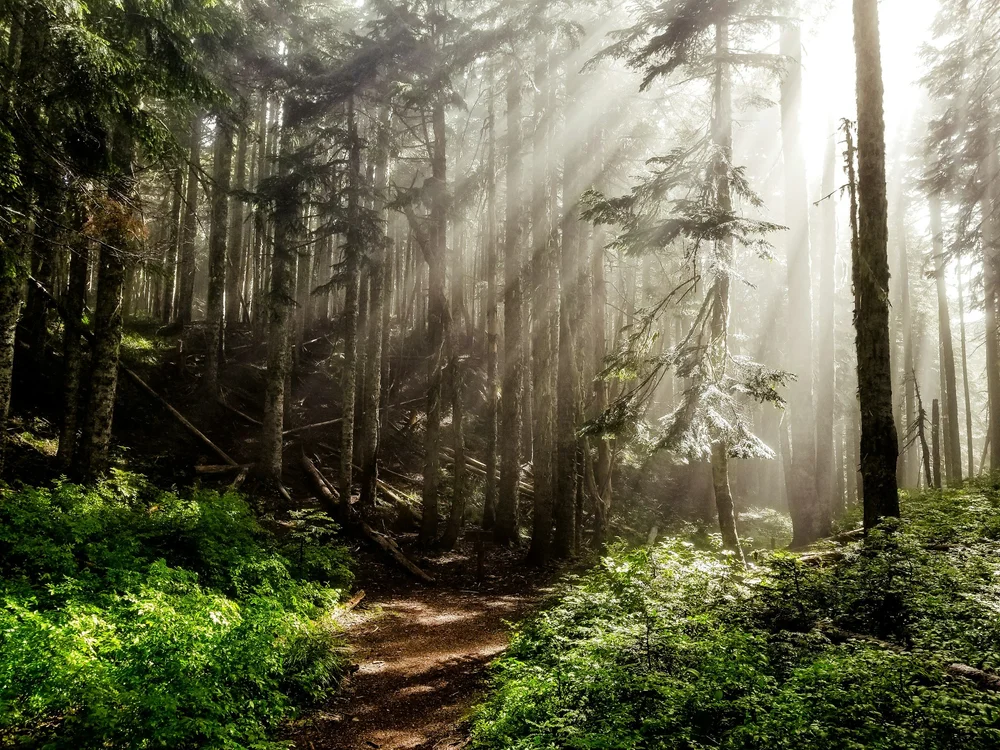 Randy Halprin – Journals, Case History, and Legal Updates