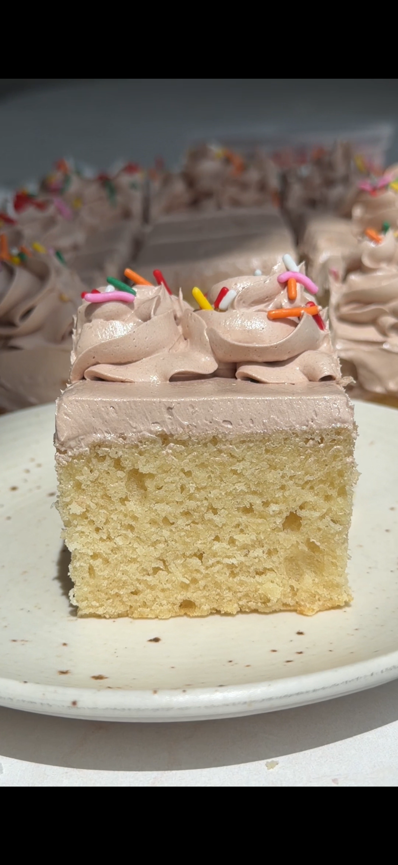 Chocolate Frosted Vanilla Cake — Mer's Good Eats