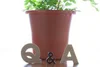 Help Desk — Virginia Beach Master Gardeners
