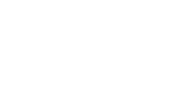 Tour — THE STRUTS