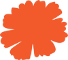 Super Bloom Plant Practice