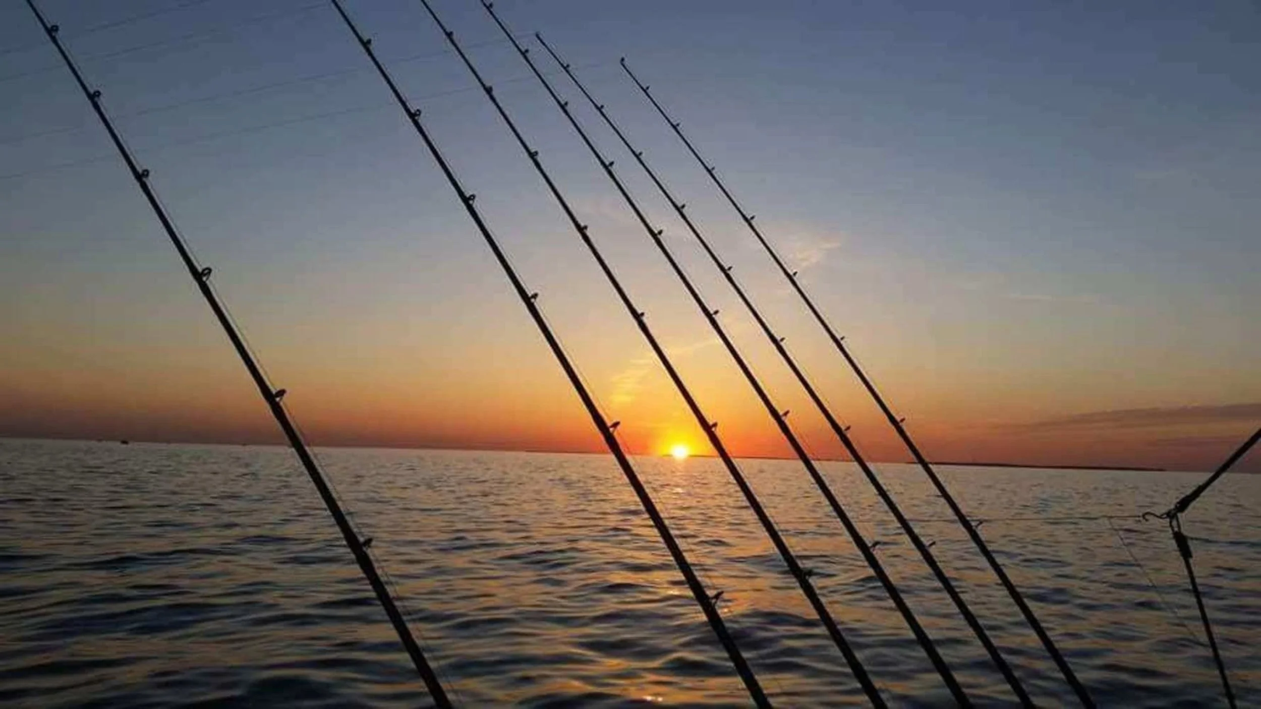 Wild Wings Campground and Marina | Experience Lake Erie Fun - Book Now