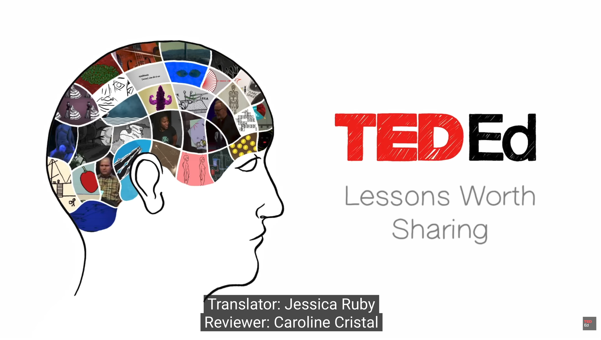 How does your brain respond to pain? (TED-Ed) — Cerebral Palsy Pain ...