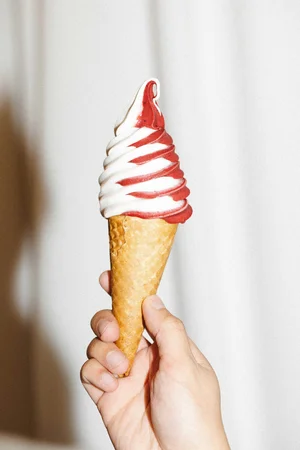 BJ's Velvet Freez