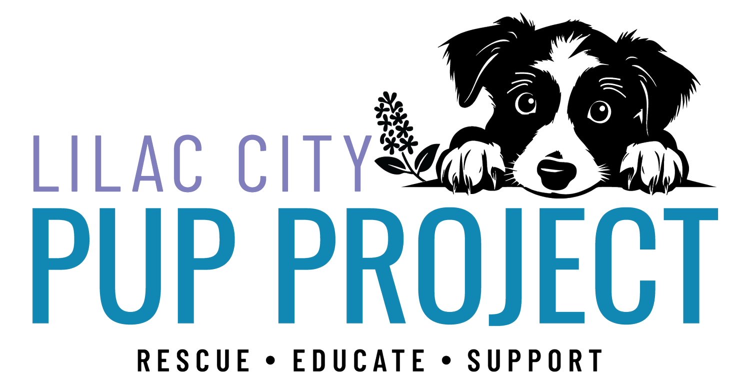 Lilac City Pup Project | Spokane, WA Dog Rescue
