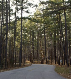 Nicholson Farms