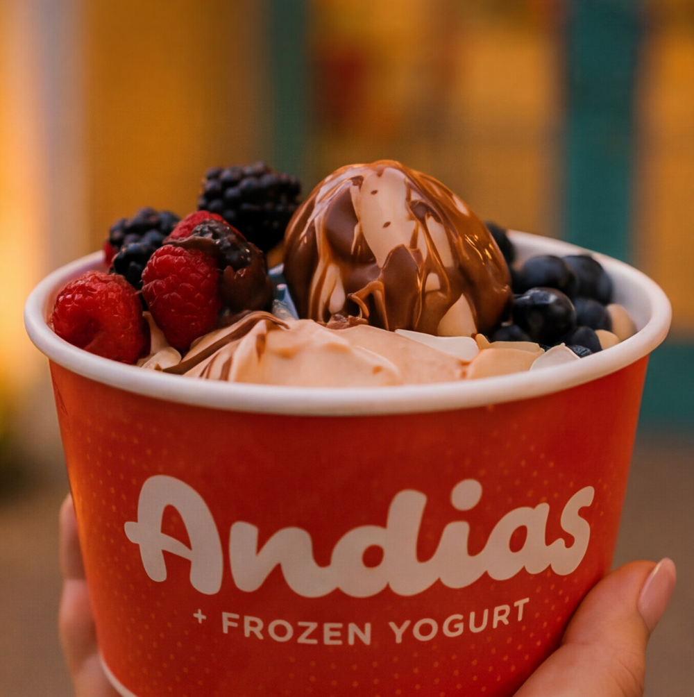 Andias Frozen Yogurt