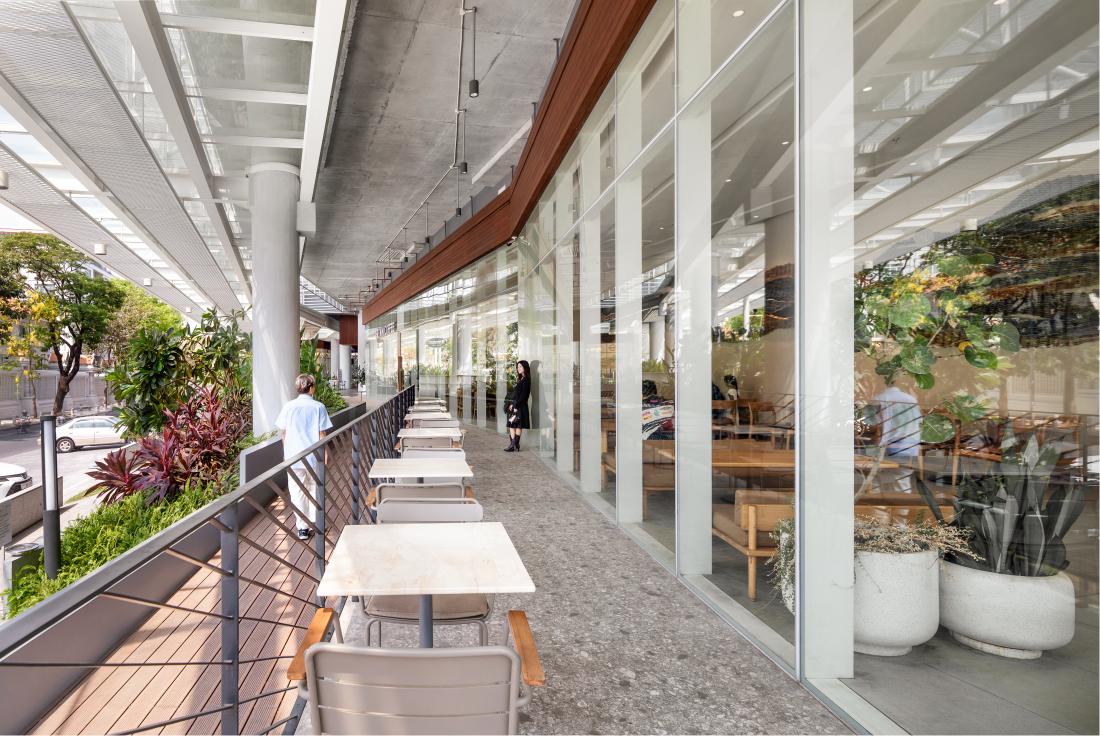 Maline Office | Biophilic Office Design Phnom Penh — ReEdge Architecture
