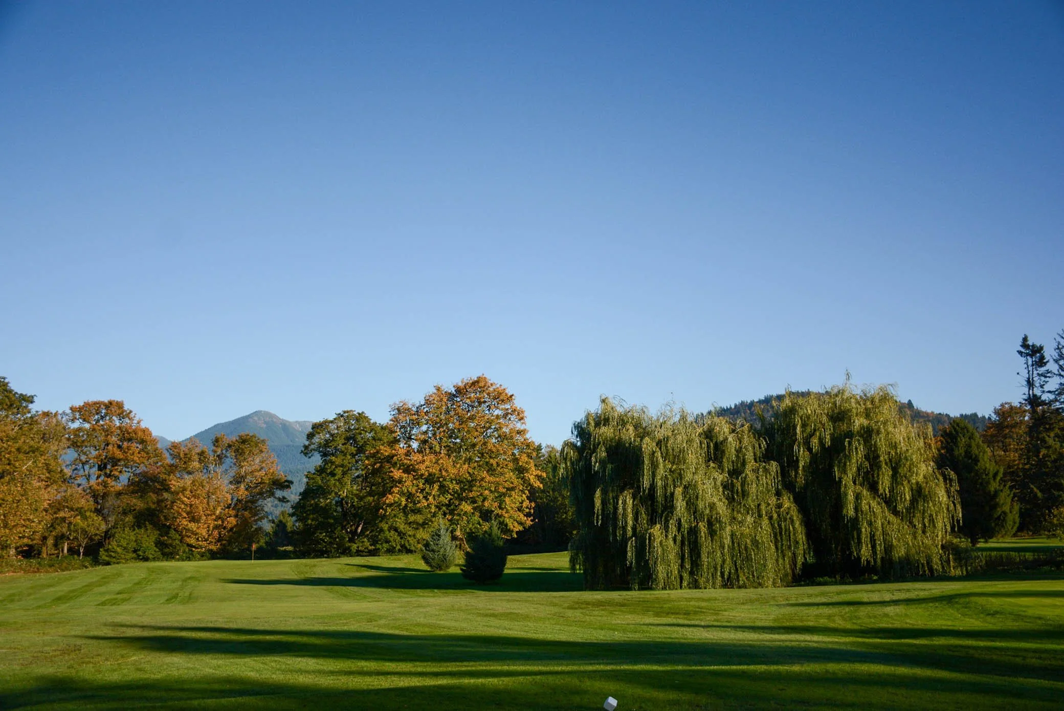 Kinkora Golf Course | Family Friendly Golf in Chilliwack
