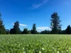Kinkora Golf Course | Family Friendly Golf in Chilliwack