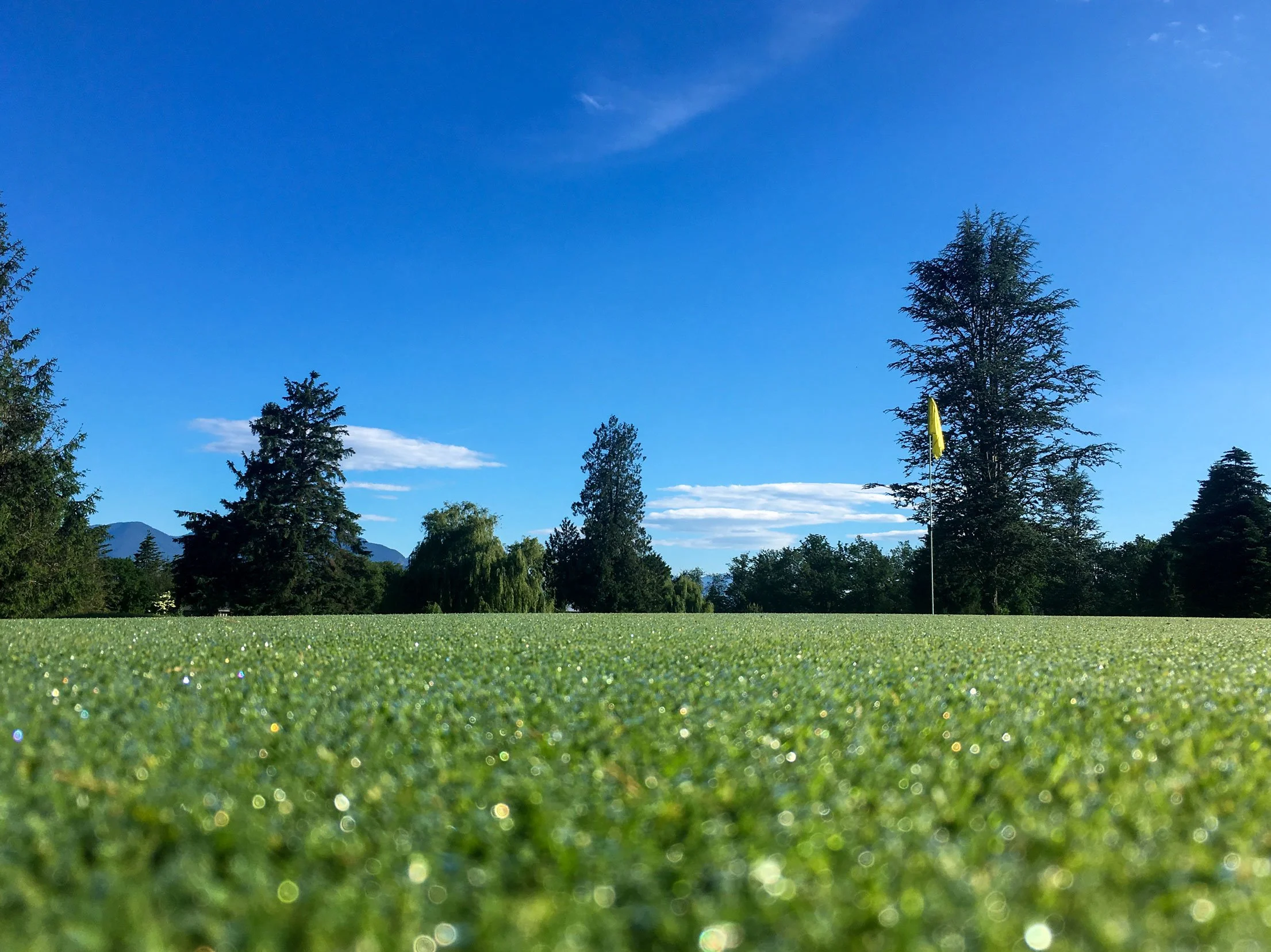 Kinkora Golf Course | Family Friendly Golf in Chilliwack