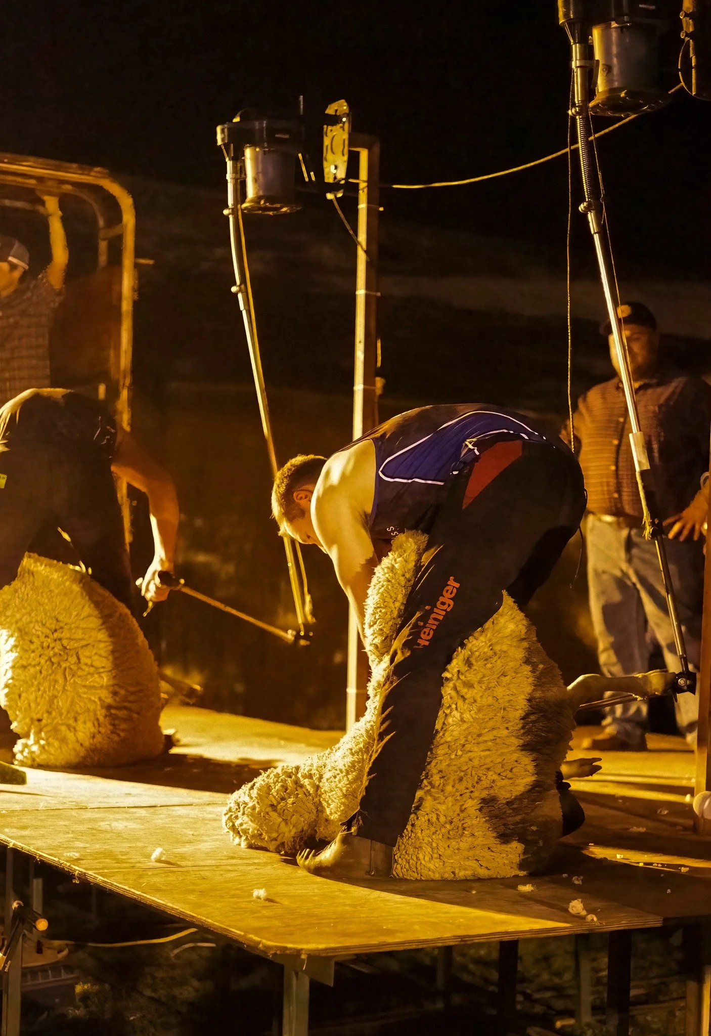 Barcaldine Tree of Knowledge Festival