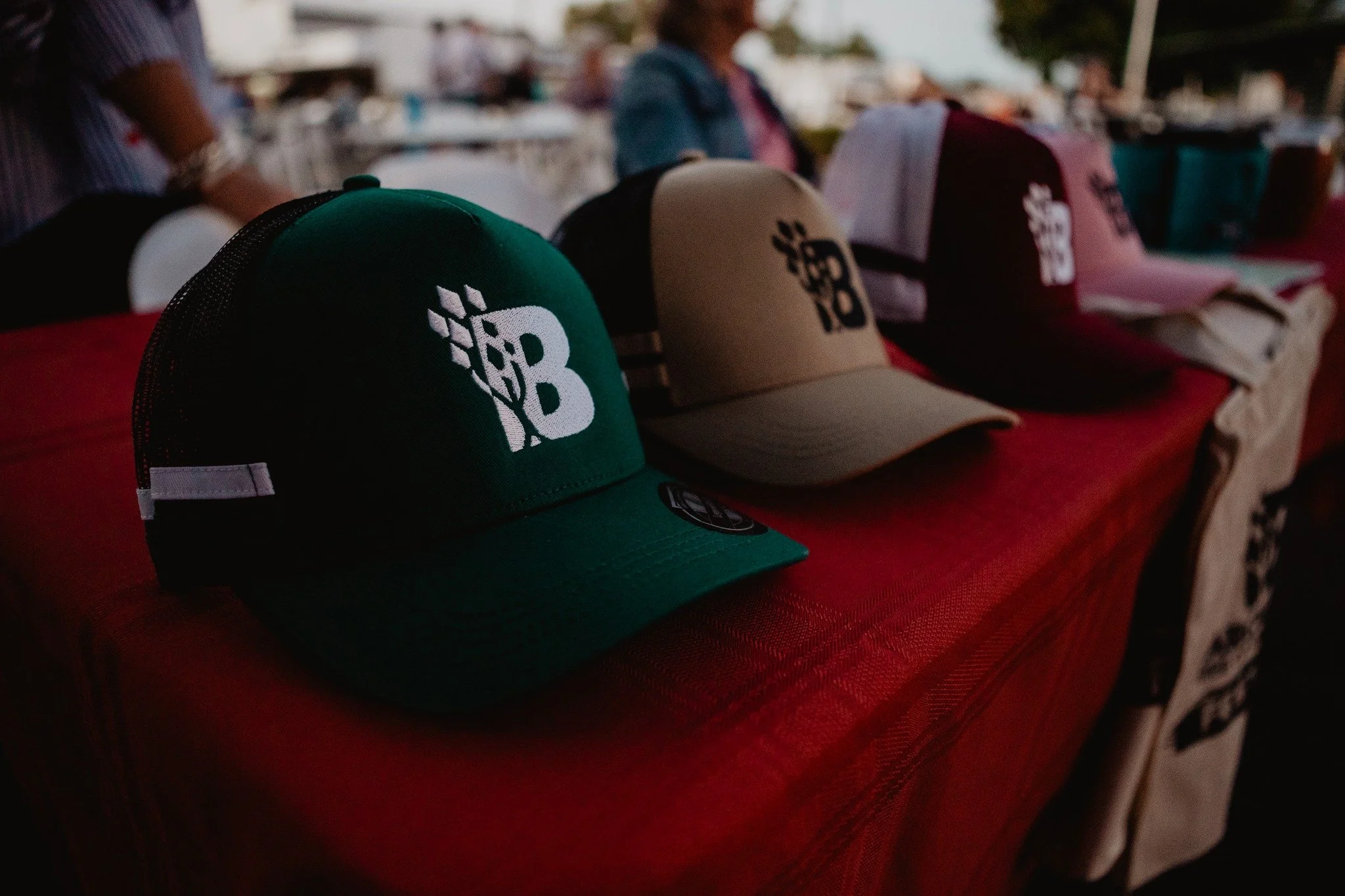 Barcaldine Tree of Knowledge Festival