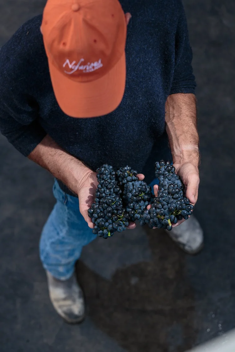 Nefarious Cellars | Washington Winery Since 2004