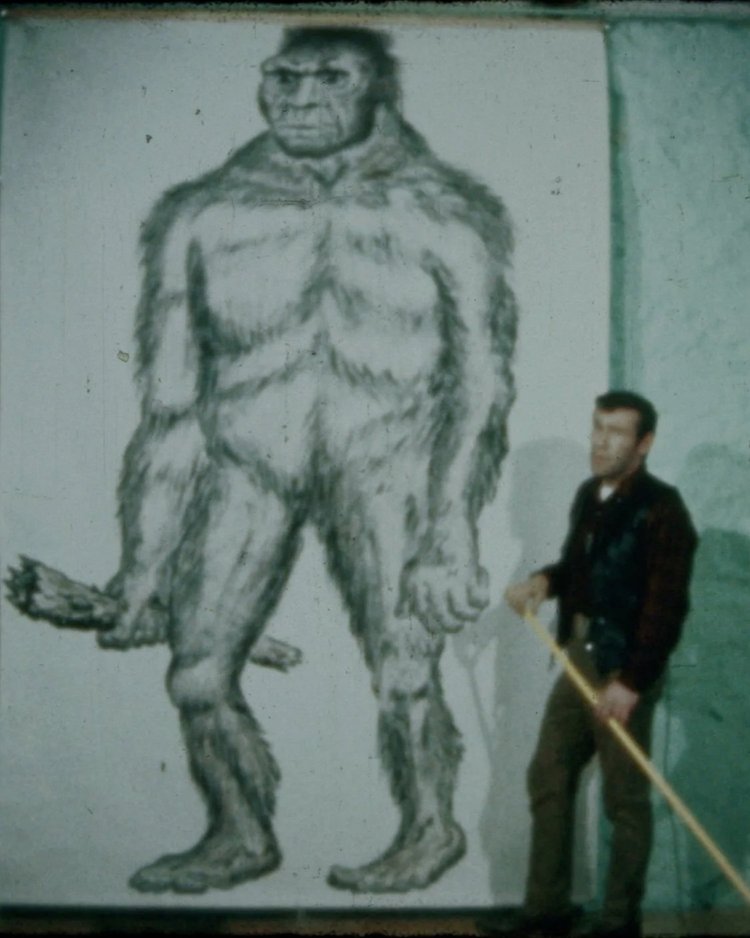 Capturing Bigfoot Documentary - Synopsis — Your Site Title