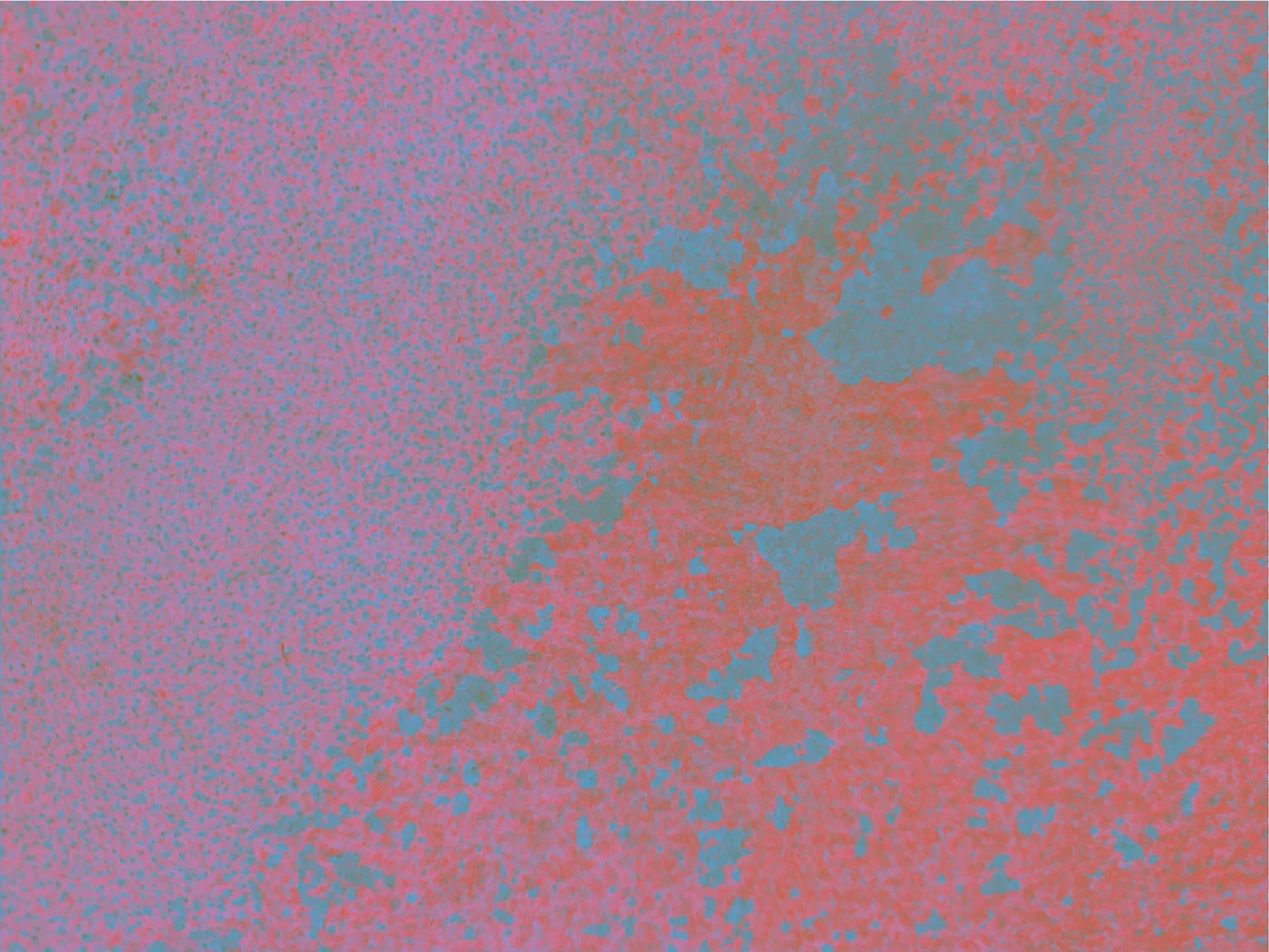 Signal